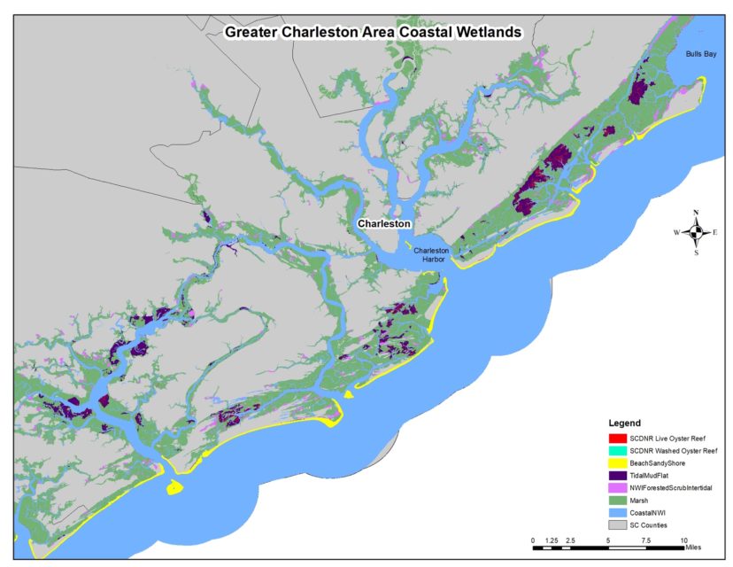South Carolina’s Coastal Habitats and Regional Comparison | Land-Grant ...