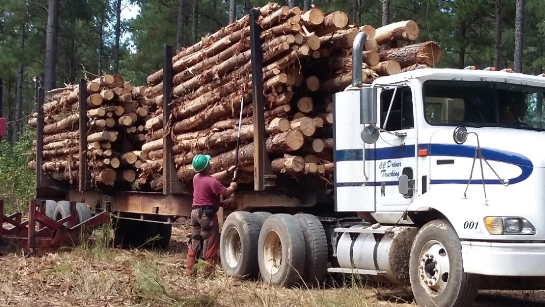 Timber Harvesting Equipment in South Carolina | Land-Grant Press