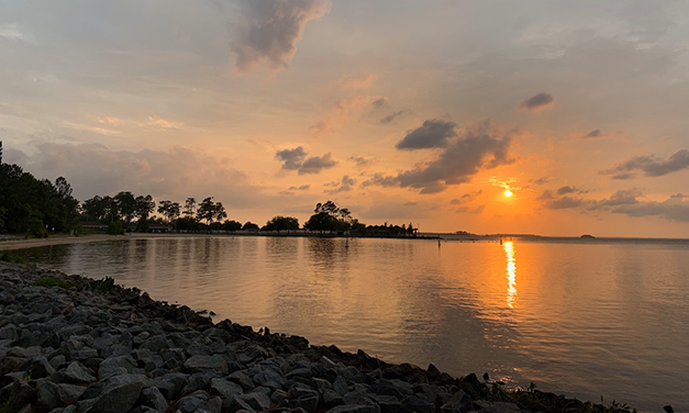 Ponds in South Carolina | Land-Grant Press