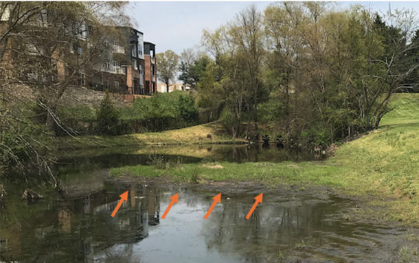 Pond Maintenance: Dredging | Land-Grant Press