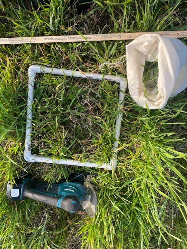 Measuring Forage Mass on Pastures to Adjust Stocking Rate | Land-Grant ...