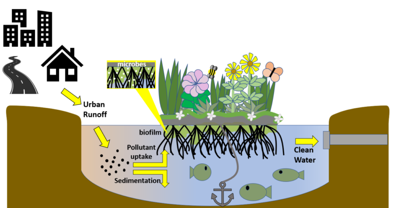 An Introduction to Floating Wetlands for Stormwater Ponds | Land-Grant ...