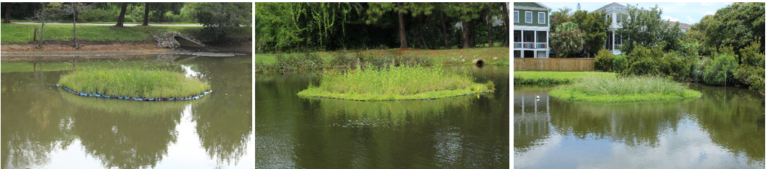 An Introduction to Floating Wetlands for Stormwater Ponds | Land-Grant ...