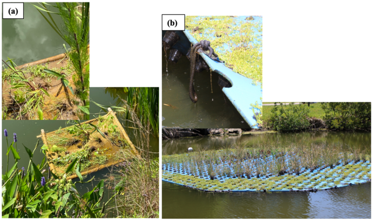An Introduction to Floating Wetlands for Stormwater Ponds | Land-Grant ...