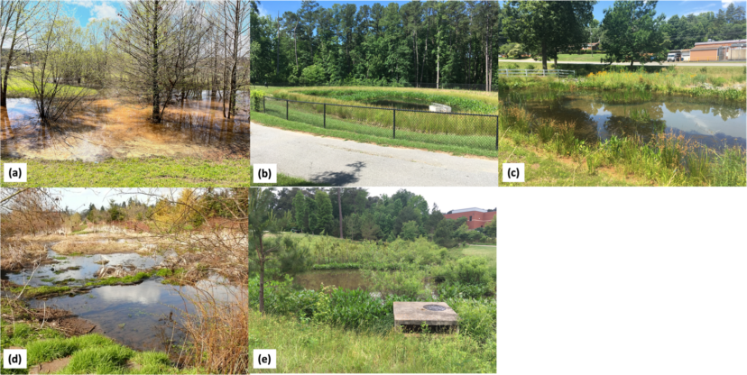 An Introduction to Low Impact Development Strategies for Stormwater ...