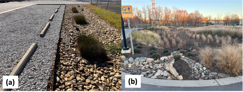 An Introduction to Low Impact Development Strategies for Stormwater ...