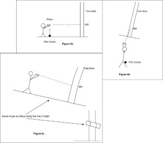 How to Conduct a Timber Cruise | Land-Grant Press