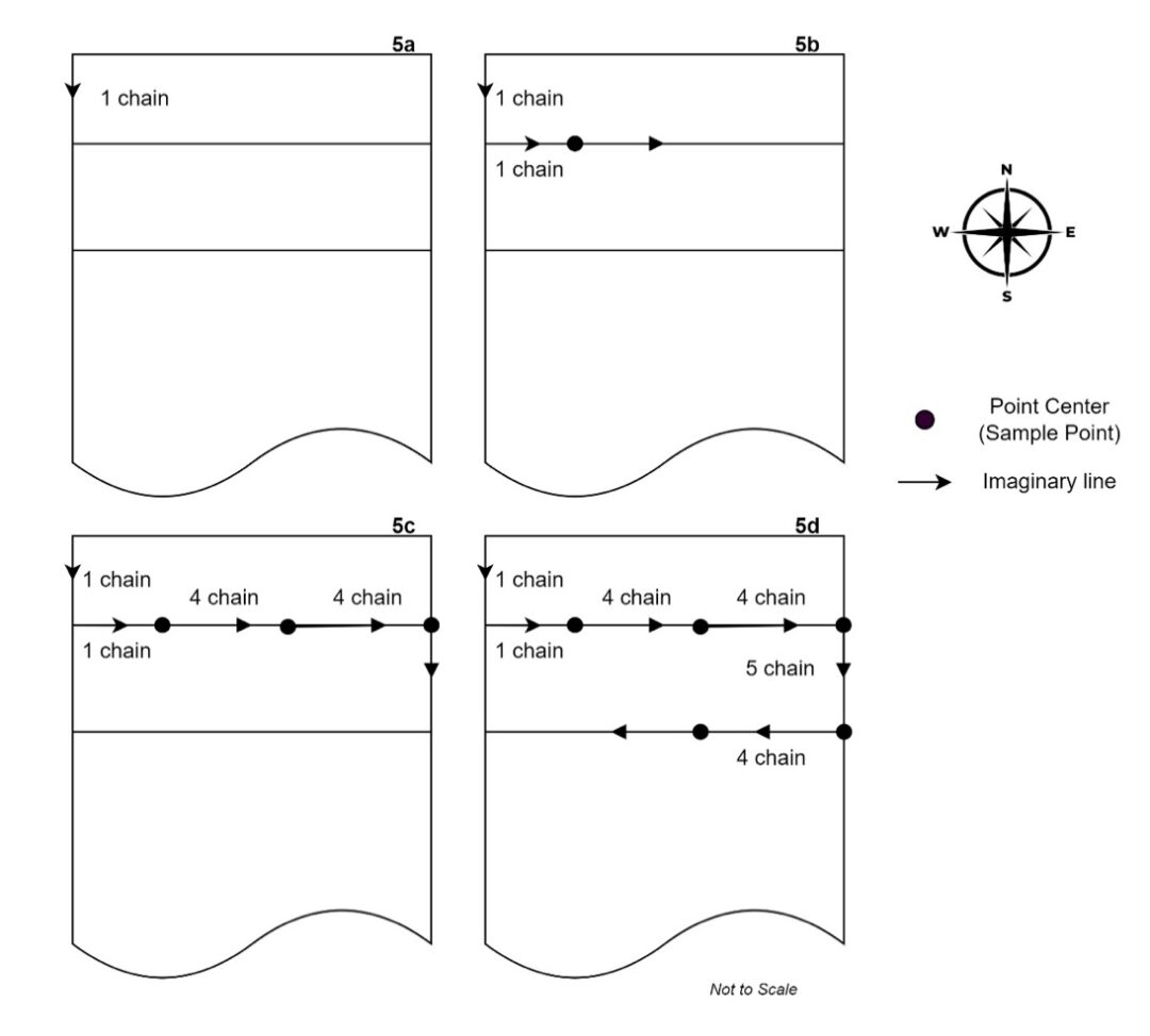How to Conduct a Timber Cruise | Land-Grant Press