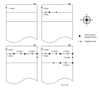 How to Conduct a Timber Cruise | Land-Grant Press